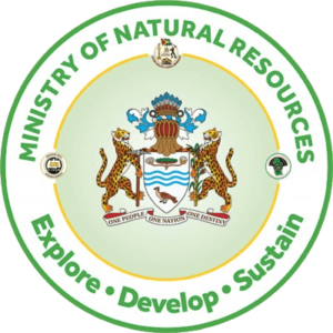 Payara Gold- Crude Oil - Petroleum Management Programme